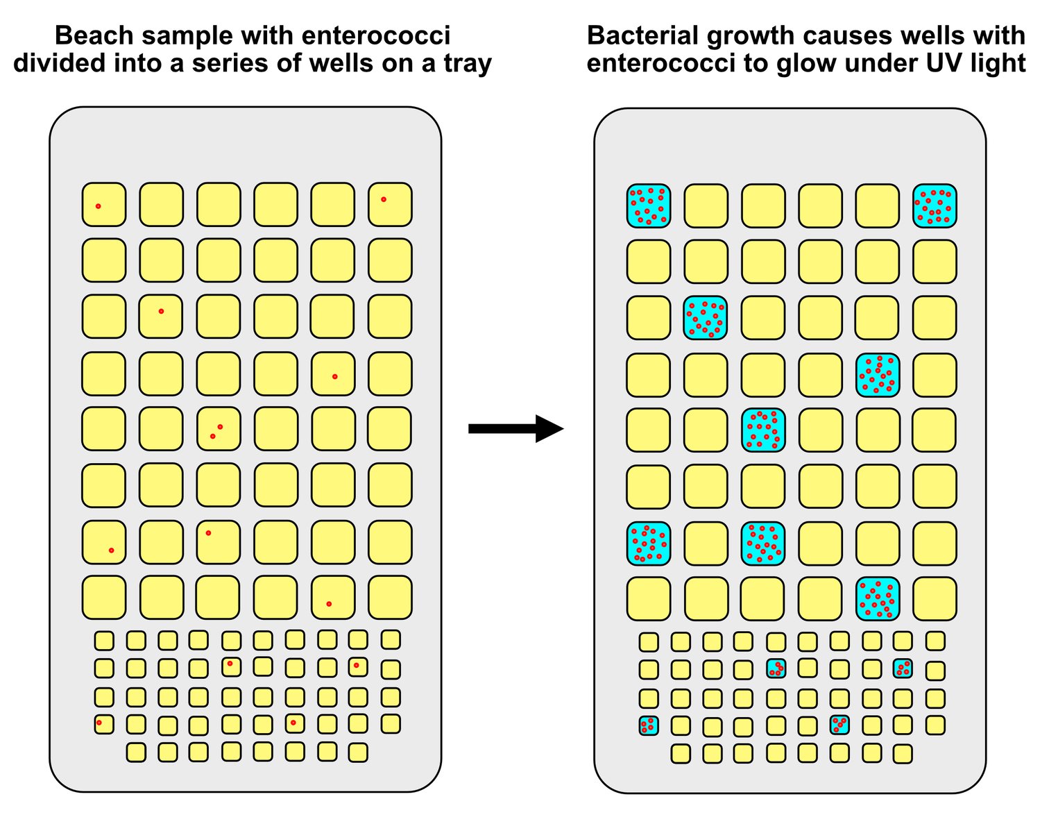 Diving Into the Science Behind Blue Water Task Force